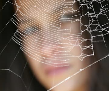 Autumn Spiders - Outdoors with the Bailies