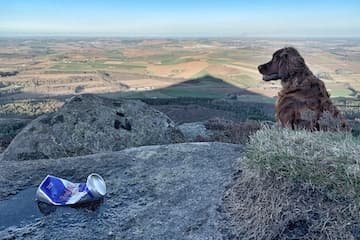 Why Do People Drop Litter? - Outdoors with the Bailies